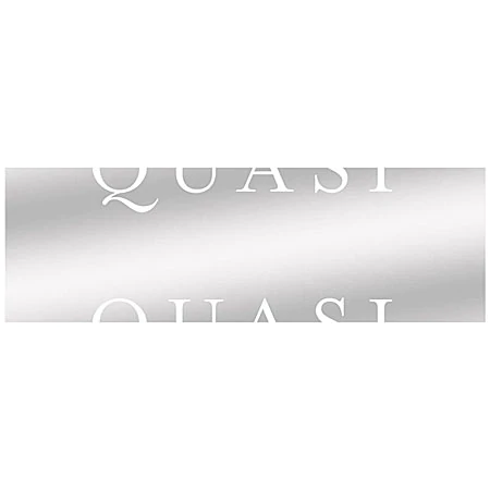 Quasi Chrome Bumper Chrome Skateboard Sticker